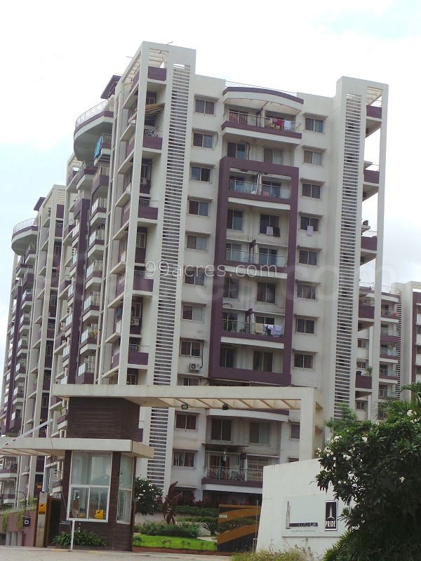 Pride Purple Group Pride Aloma County Photos - Aundh, Pune Pictures
