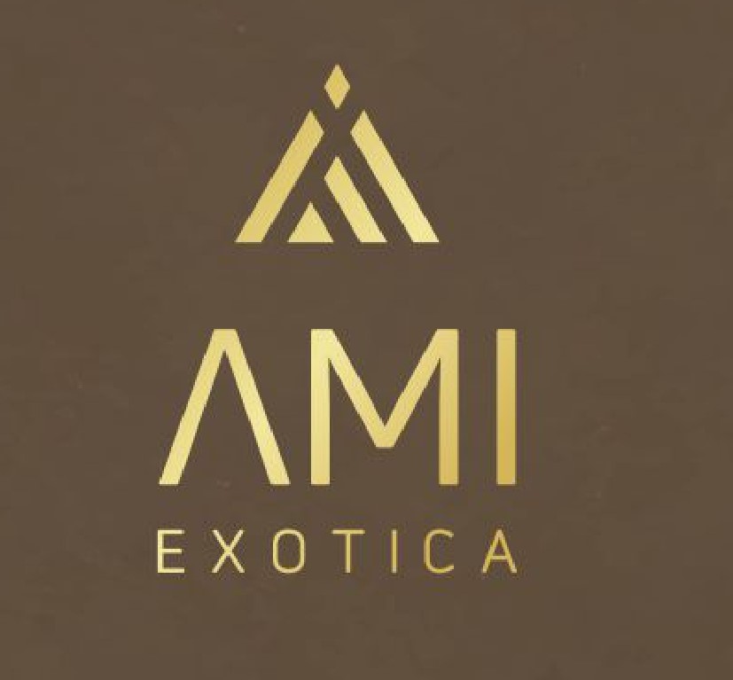 Ami Infrastructure Ami Exotica Map - Madhapar, Rajkot Location Map