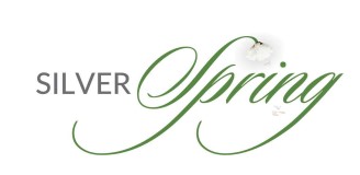 Silver Spring Bopal, Ahmedabad Resale Price List, Brochure, Floor Plan ...