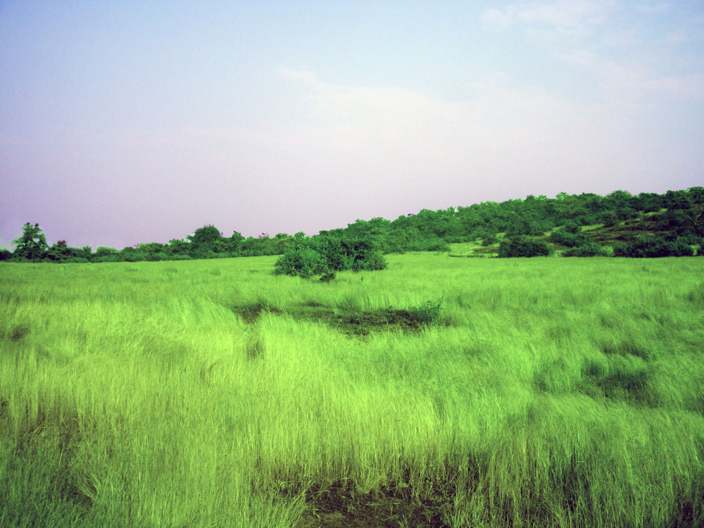 Ariona Home Solutions Ariona Homes Photos And Videos - Niravade ...