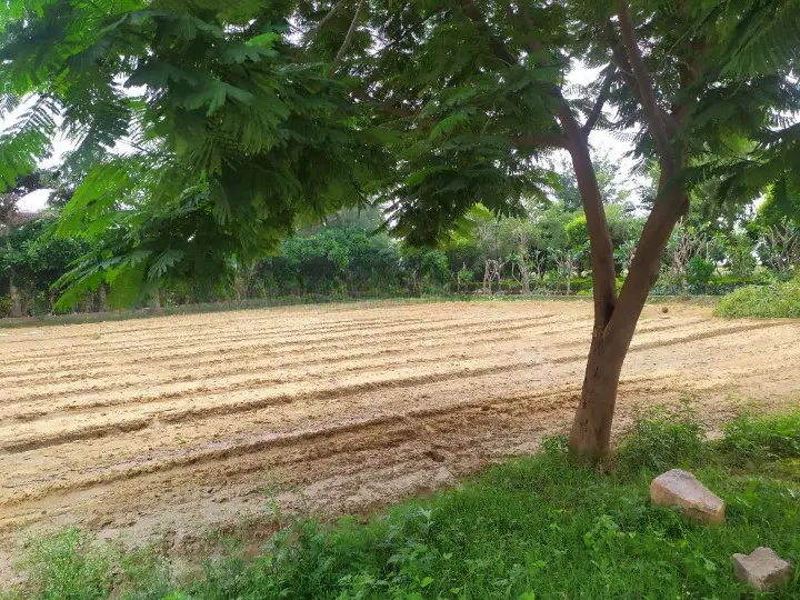 Anant Raj Ashok Estate Sector 63A, Gurgaon | Price List & Brochure ...