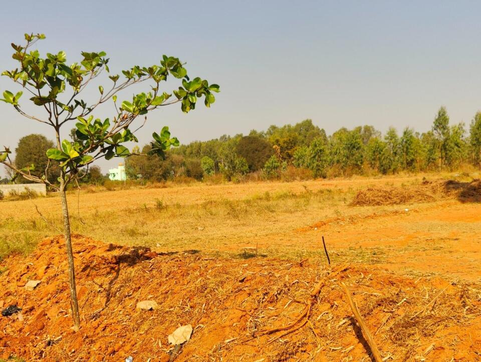 Atya Nandagokula Vrundavana Rajankunte, Doddaballapur Road | Price List ...