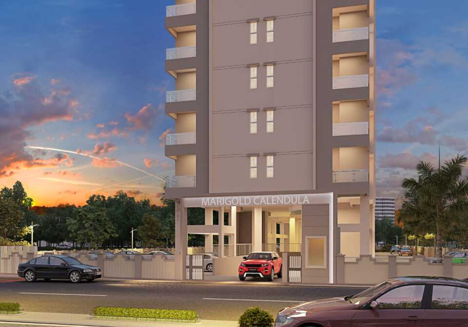 Audumbar Marigold Calendula Pimple Nilakh, Pune | Price List & Brochure ...