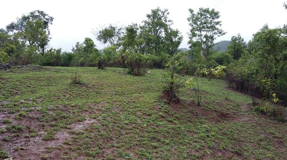 Avadhoot Infracon Avadhoot Swami Farm Photos - Velhe, Pune Pictures