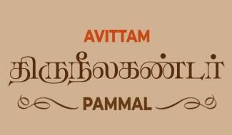 Avittam Thiruneelakandar Pammal, Chennai South | Price List & Brochure ...