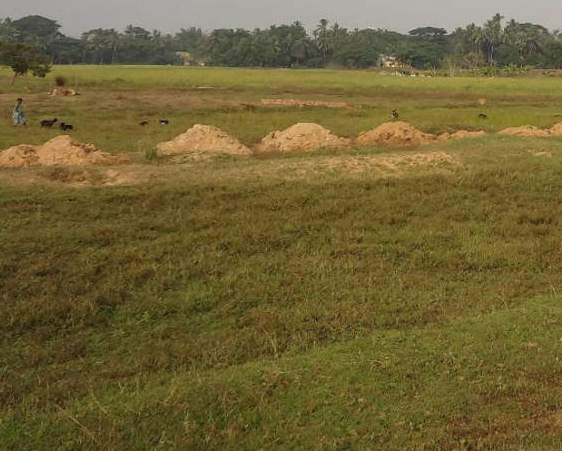 Biswal Jagannath Dham Bhubaneswar, Janla Resale Price List, Brochure ...