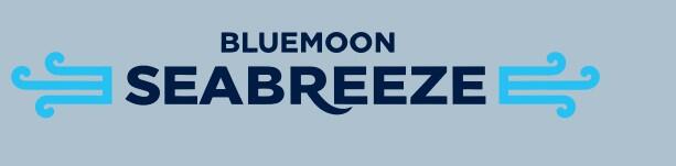 Bluemoon SeaBreeze Thiruvanmiyur, Chennai | Price List & Brochure ...