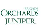Juniper at Brigade Orchards Devanahalli, Bangalore Resale Price List ...