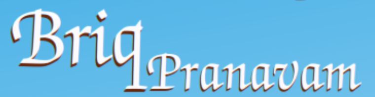 Briq Foundation Briq Pranavam Floor Plan - Vandalur, Chennai South