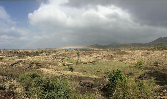 B. U. Bhandari Landmarks Pune BU Bhandari Terra Prima Photos - Shirwal ...