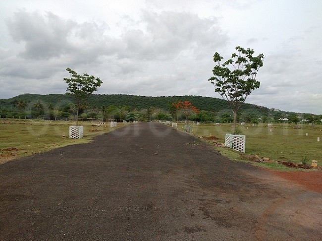 Capital One Mountain Stream Enclave Photos - Chettipunniyam, Chennai ...