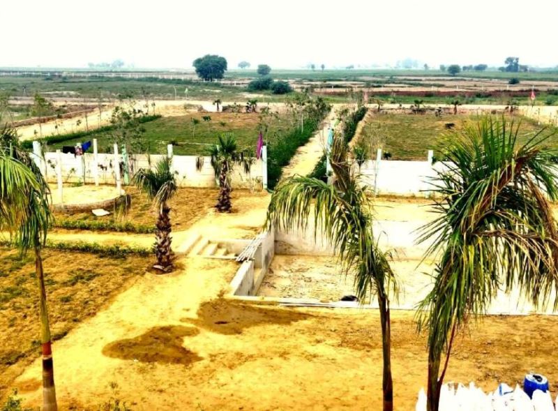 CBPL Bottle Palms Photos And Videos - Tappal, Aligarh Pictures