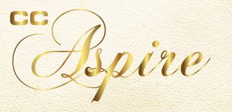 CC Infra Builders CC Aspire Floor Plan - BTM 2nd Stage, BTM Layout