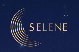 Central Park Flower Valley Selene Tower Sector-33 Sohna, Gurgaon ...