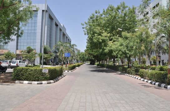 Infocity Internal Road