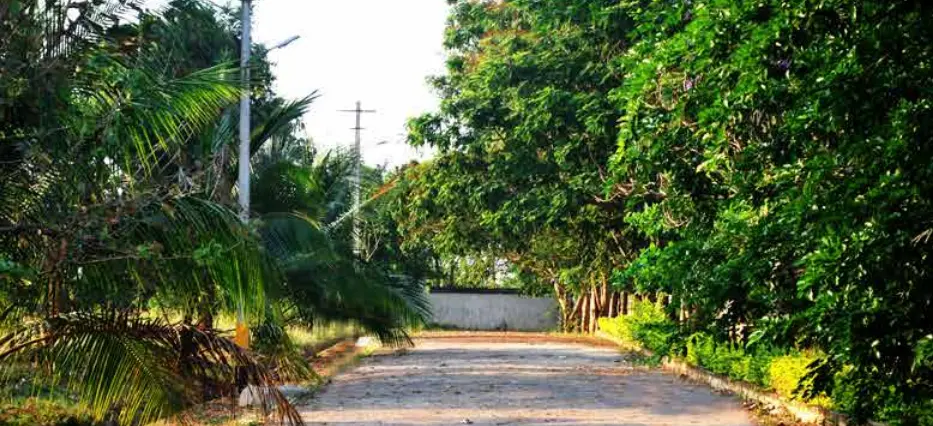 Akruthi Spring Woods Koppa Gate, Near Jigani, Bangalore Resale Price ...
