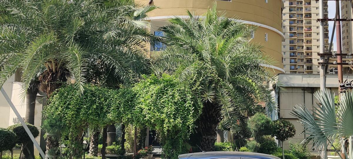 Dasnac Burj Noida Sector 75, Noida | Price List & Brochure, Floor Plan ...