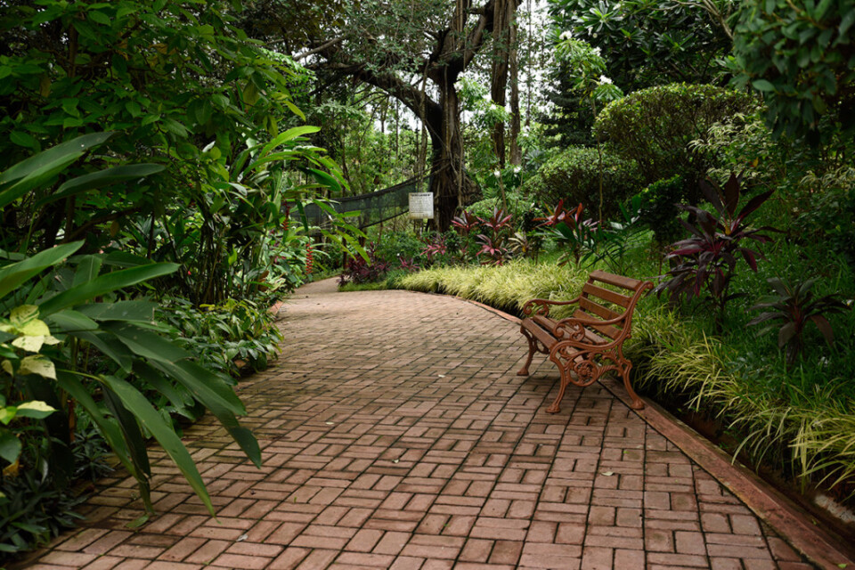 Aldeia De Goa Bambolim, Goa | Price List & Brochure, Floor Plan ...