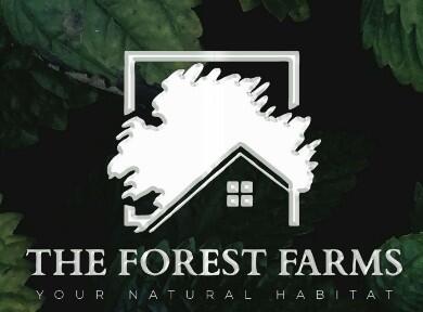 The Forest Farms Sector 151, Noida Resale Price List, Brochure, Floor ...