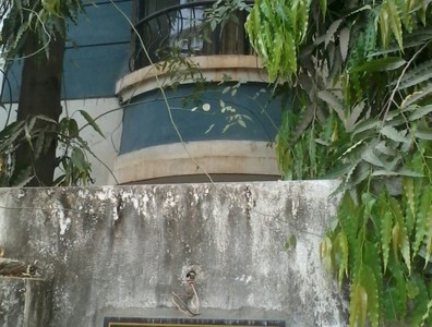 DG Developers DG Lotus Enclave Photos - Anand Park, Aundh Pictures