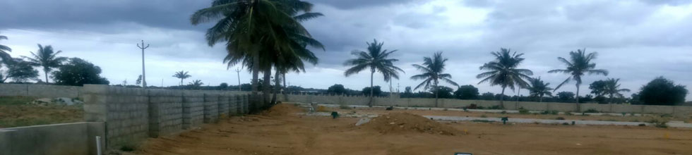 DHIO Group Dhio Green Mist Photos - Hoskote, Bangalore Pictures