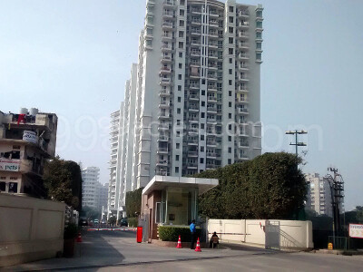 DLF The Icon DLF Phase 5, Gurgaon Resale Price List, Brochure, Floor ...