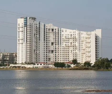 DLF Builders DLF Riverside Photos And Videos - Vytilla, Kochi Pictures