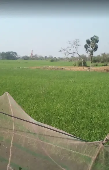 DLF City Plots Phase 4 DLF Phase 4, Gurgaon Resale Price List, Brochure ...