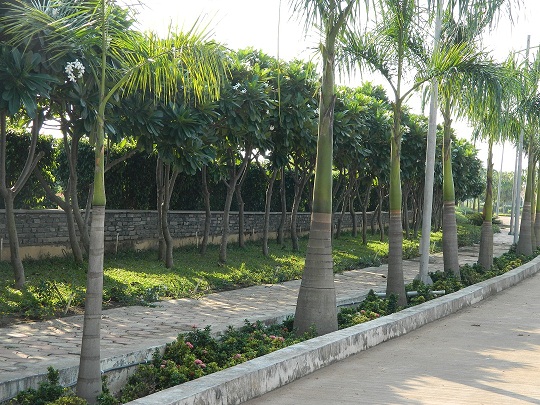 Swastik Group Raipur Swastik Kalpvriksh Villas Photos And Videos - Old ...