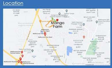 Double T Infrastructure Mango Farm Map - Madhavaram, Chennai Location Map
