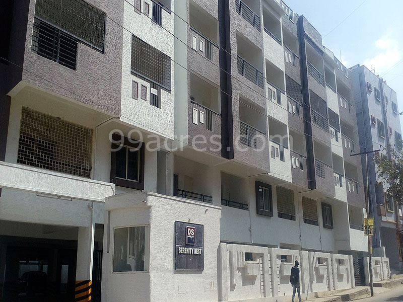 DS Max Properties DS Max Serenity Nest Photos - NGR Layout ...