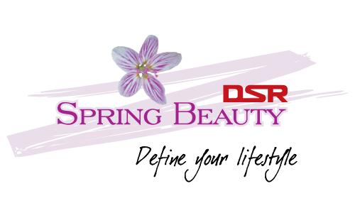 DSR Infra Projects Bangalore DSR Spring Beauty Floor Plan - Brookefield ...