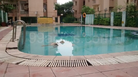 3 BHK / Bedroom Apartment / Flat for rent in Eldeco Golf View ...