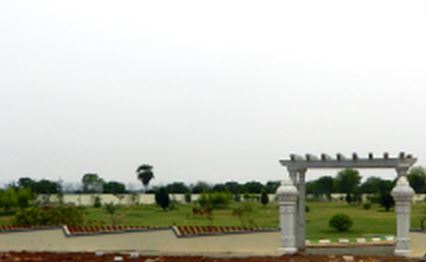 Escon Satyamg Adithya Elixir Nellore, Anupallipadu | Price List ...