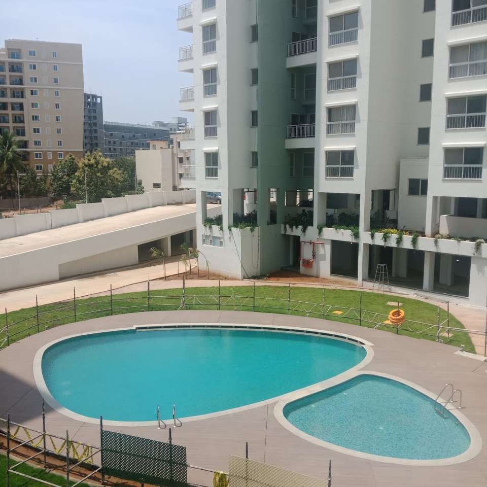Expat Projects and Development Expat The Wisdom Tree Community Photos ...