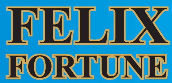 Felix Homes Felix Fortune Floor Plan - Nallagandla, Hyderabad