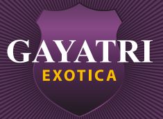 Gayatri Group Gayatri Exotica Photos - Narol, Ahmedabad East Pictures