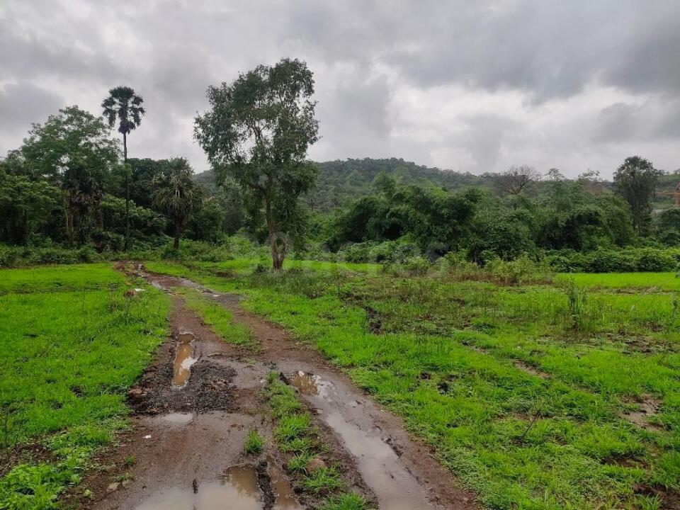 Godrej Properties Godrej Golf Side Estate Photos And Videos - Panvel ...