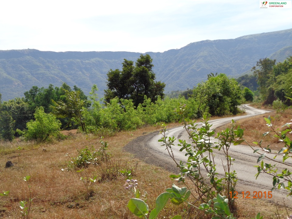 Greenland Bhor Project Bhor, Pune Resale Price List, Brochure, Floor ...