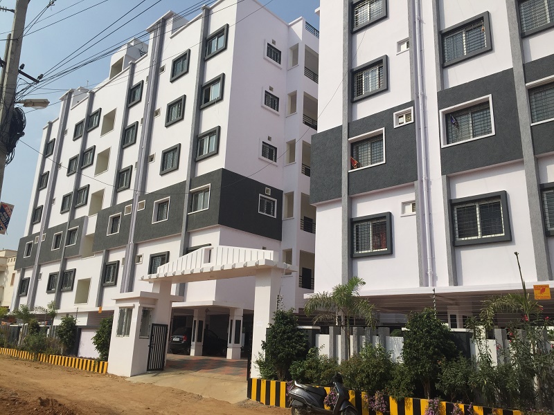 Hallmark Maple Tree Photos - Manikonda, Hyderabad Pictures