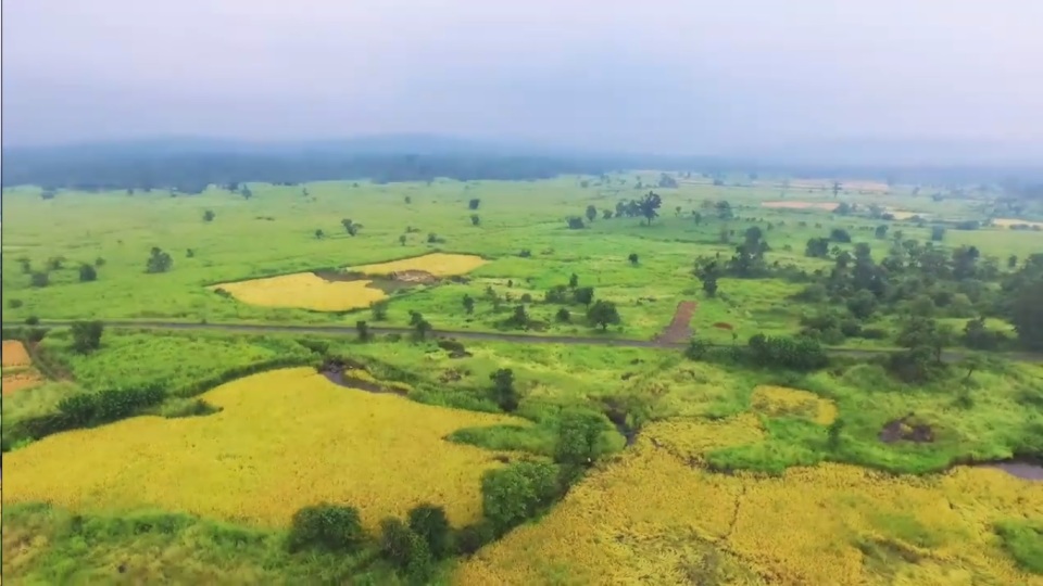 Farm County Raigad, Pali | Price List & Brochure, Floor Plan, Location ...