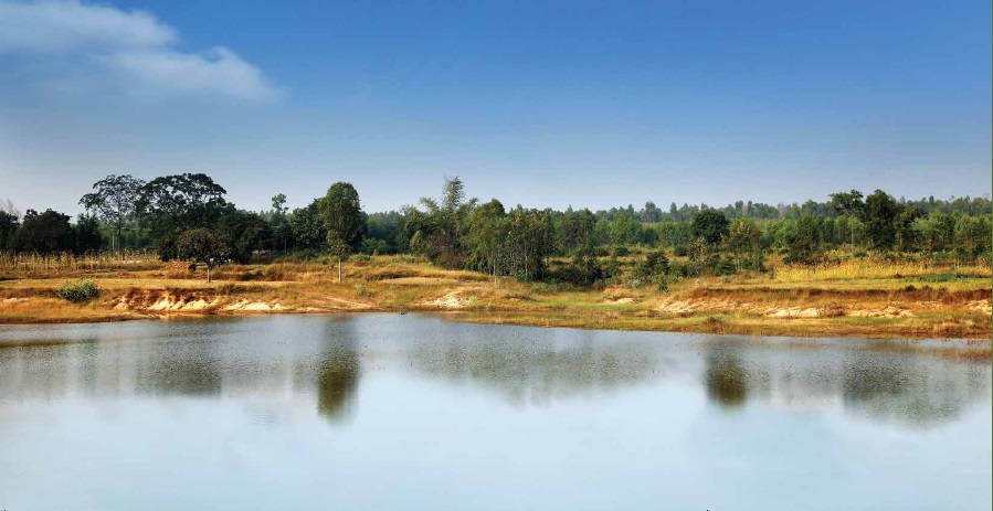 Indium Group Indium Lake Forest Photos - Hejjala, Ramanagara, Bangalore ...