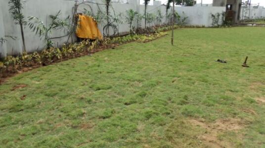 2 BHK / Bedroom Apartment / Flat for rent in Indus Anantya Navalur ...