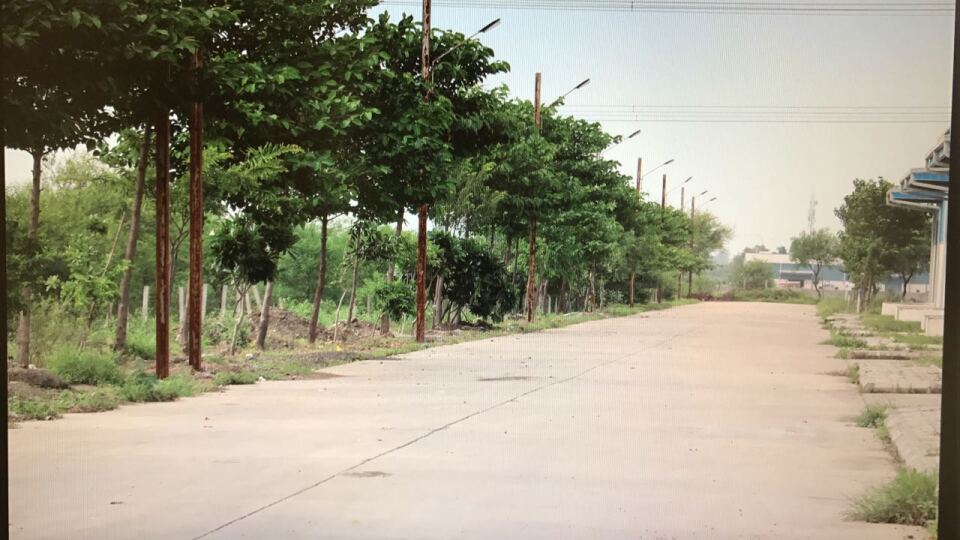 JRG Logistic Park Tukoganj, Indore - Invest in Land