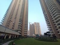 3 BHK Apartment / Flat for sale in SKA Divya Towers Sector 16 Greater ...