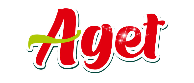 JSR AGET Warangal, Chityal | Price List & Brochure, Floor Plan ...