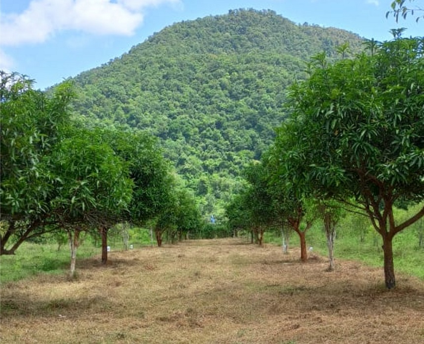 Kalidindi Group Builders Kalidindi Sandal County Photos - Araku Road ...