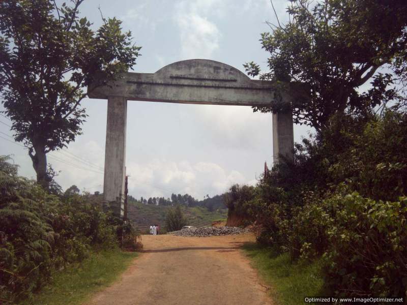 Kodai Estates Kodai Green Country Valley Photos - Attuvampatti ...