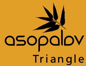 Landmark Asopalav Triangle Rajkot, Mavdi | Price List & Brochure, Floor ...