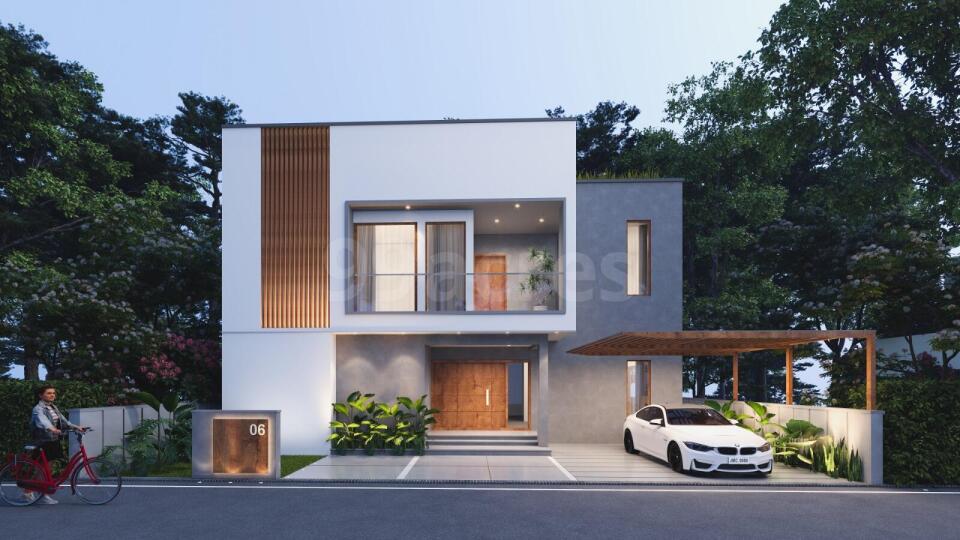 Level 100 Roots Photos And Videos - Tripunithura, Kochi Pictures